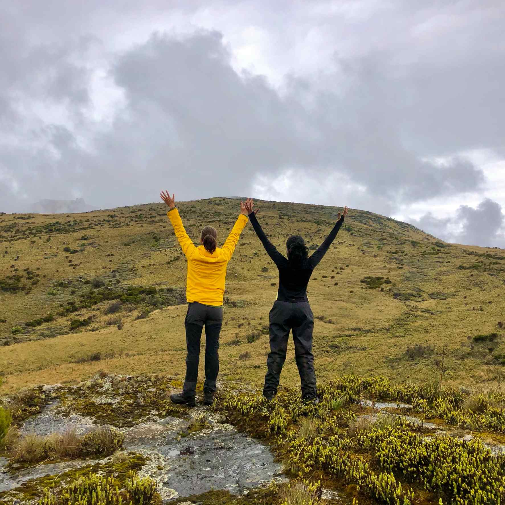 Mount Kinangop Tribute — Mutarakwa Forest Trail