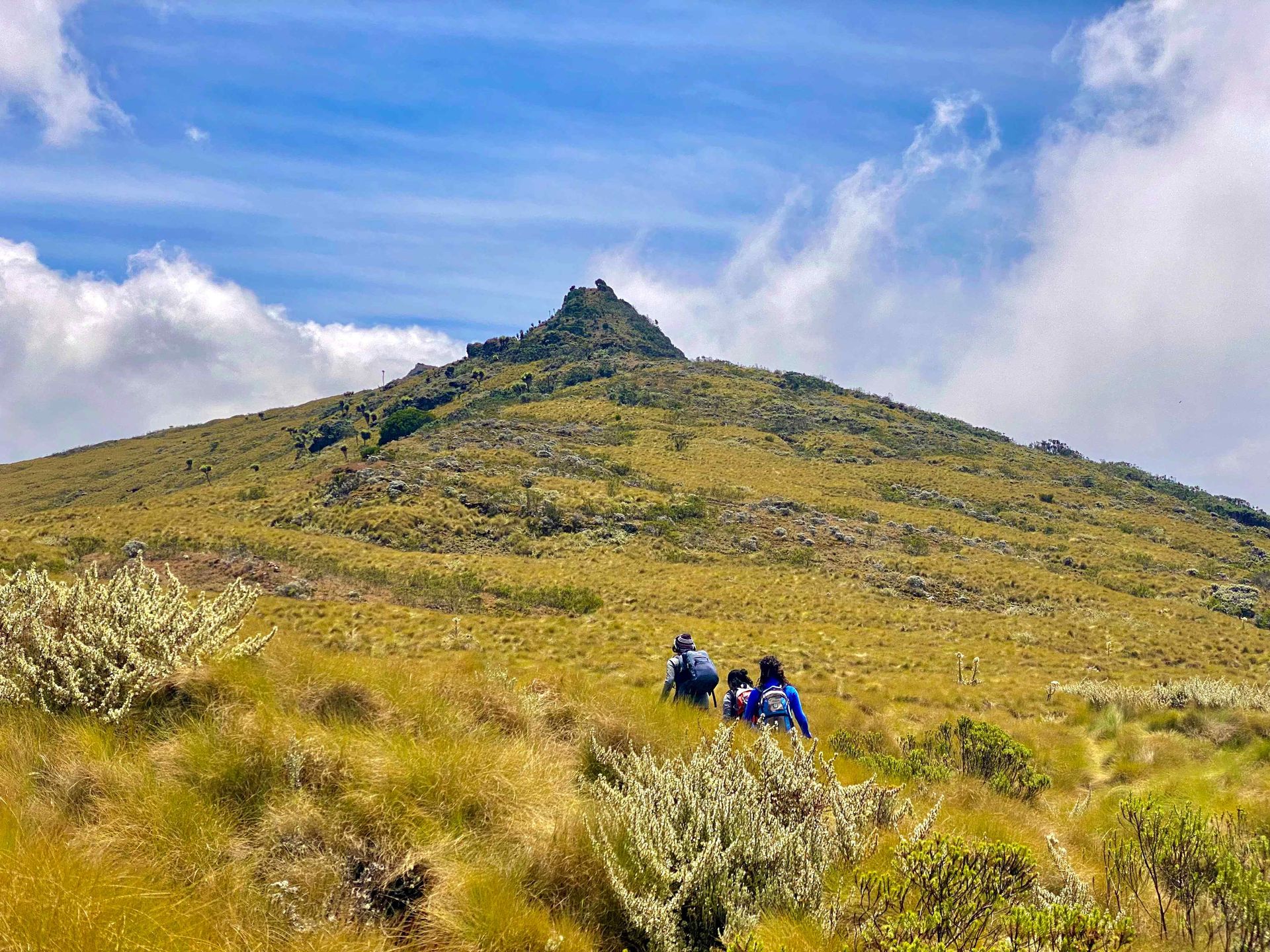 Satima Hike Via Wandare Trail