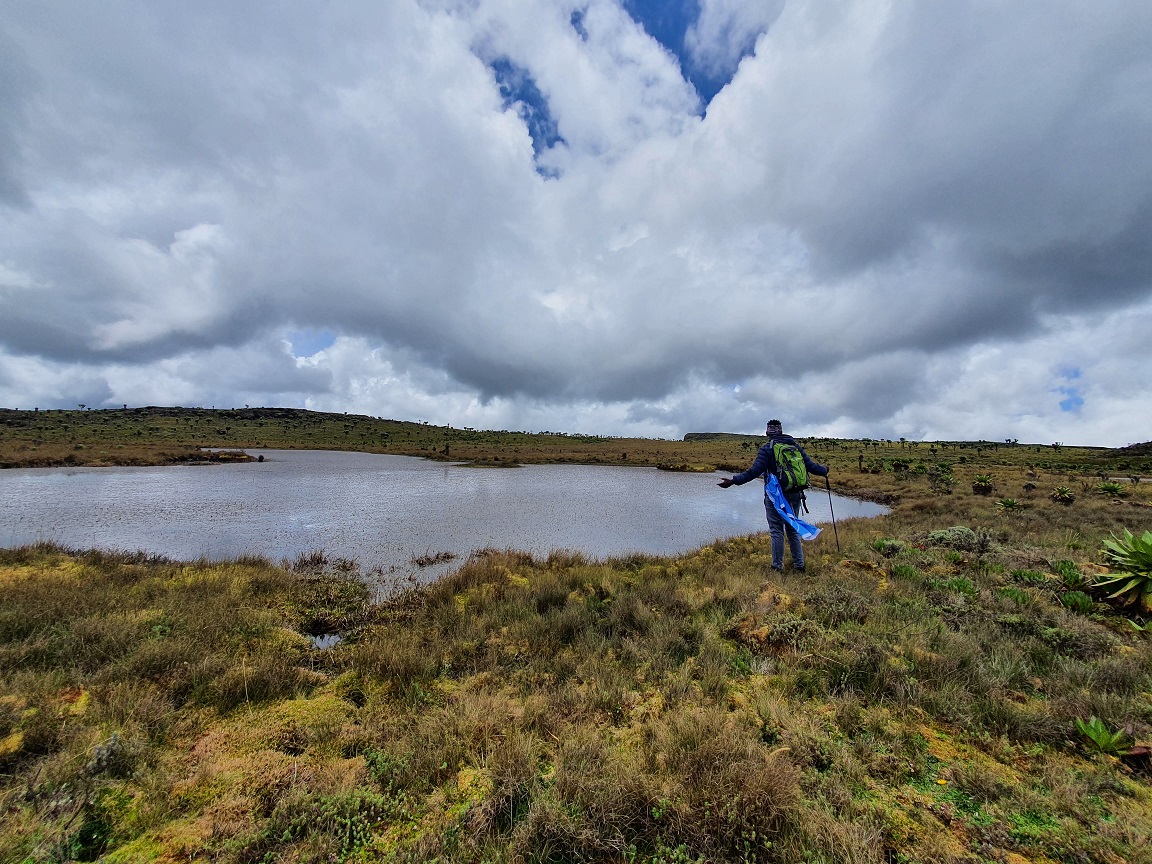 Seven Ponds Hike | Outdoorer